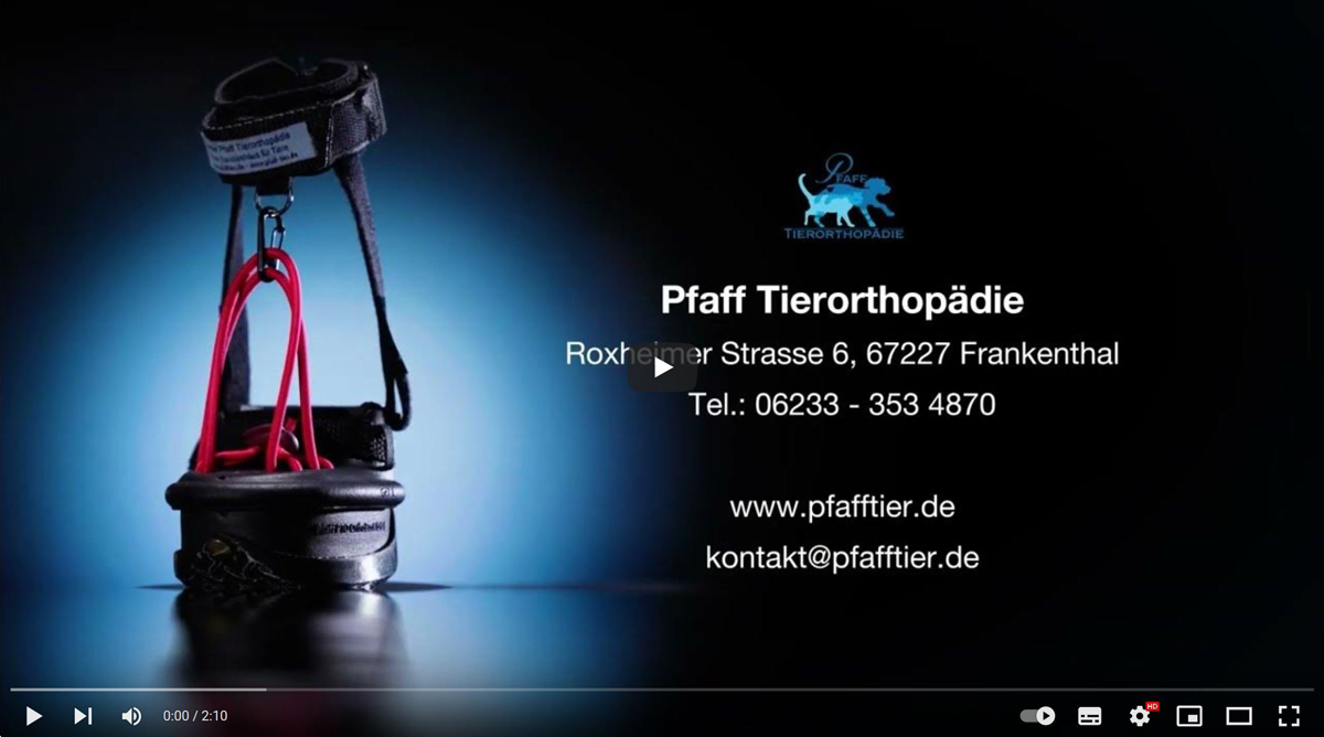 Pfaff Tierorthopädie – Das älteste Sanitätshaus für Tiere seit 2006